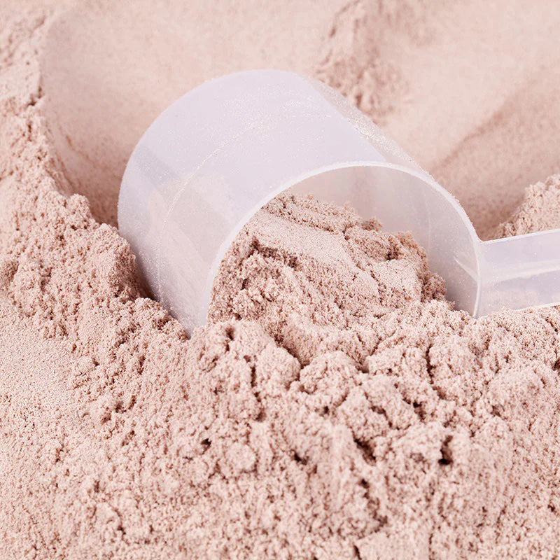Protein Powders – N101 Nutrition